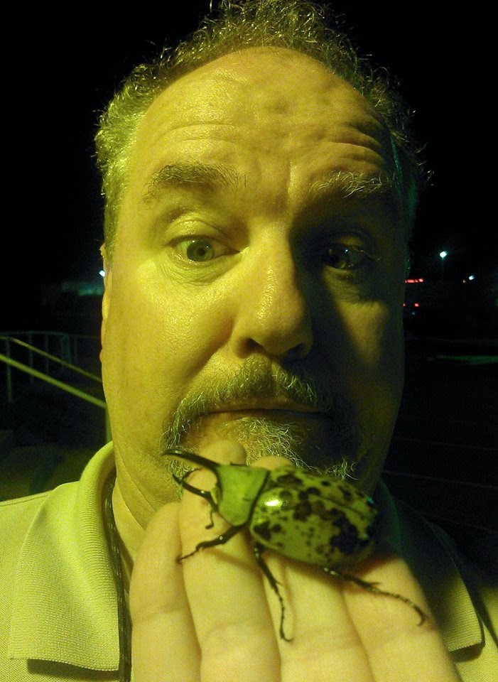 Arizona: Beetles, Bugs, Birds and more: Dynastes granti, the largest ...